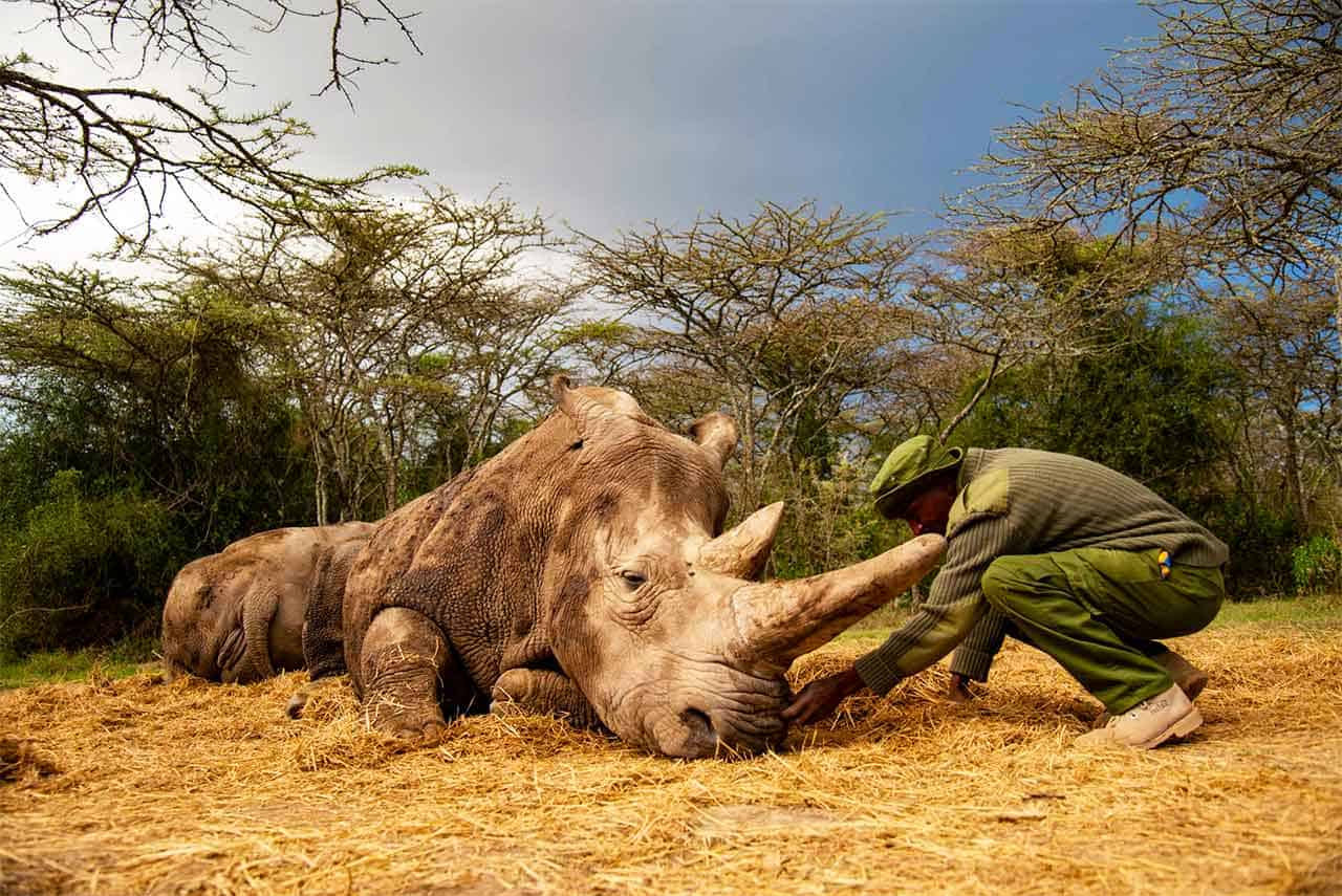 Anti-poaching - Ol Pejeta Conservancy