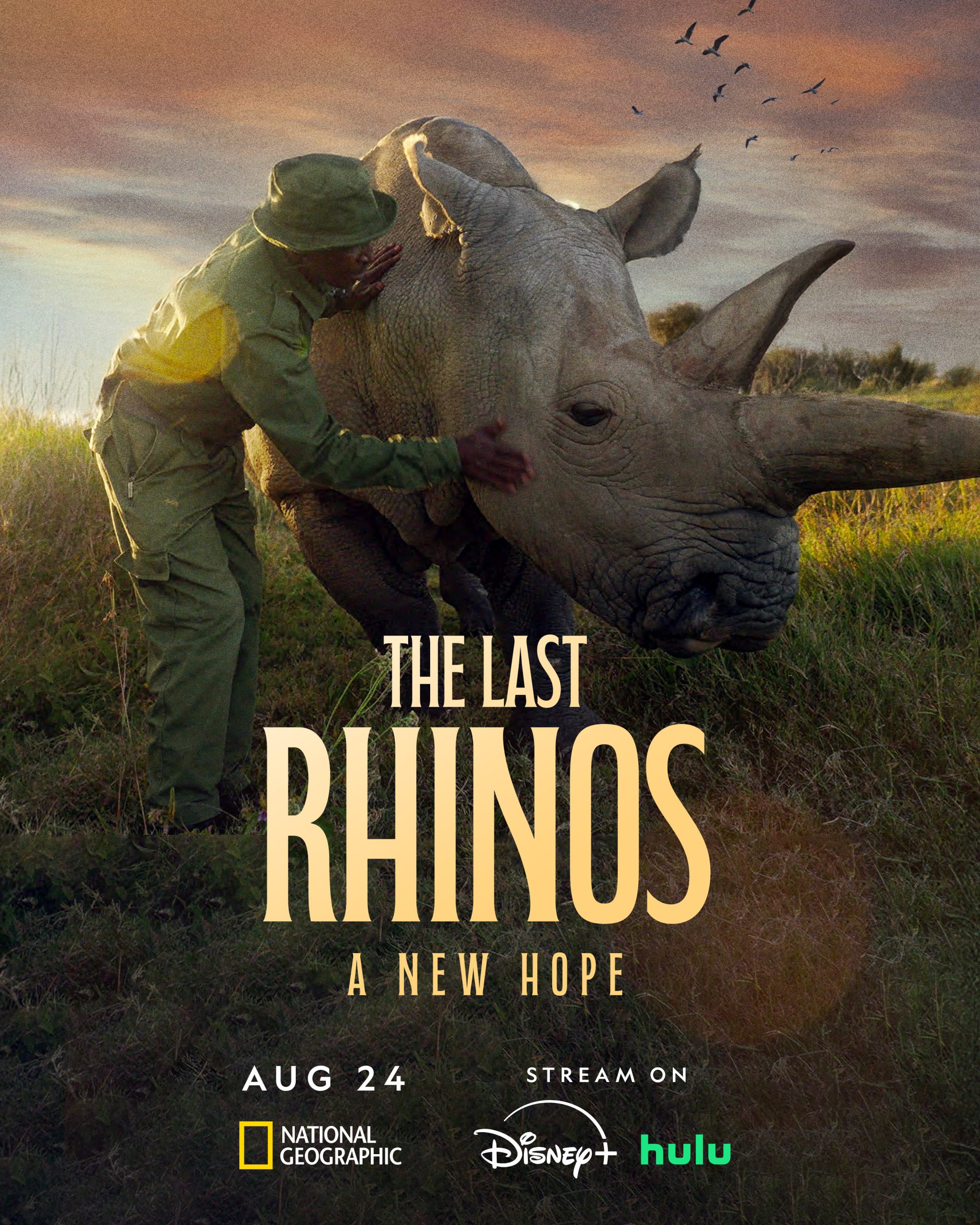 The Last Rhinos: A New Hope - Ol Pejeta Conservancy